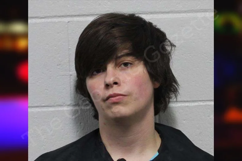 Danielle Mathis — Habersham County Jail Bookings