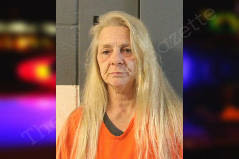 Valarie McCormack — Lumpkin County Jail Bookings