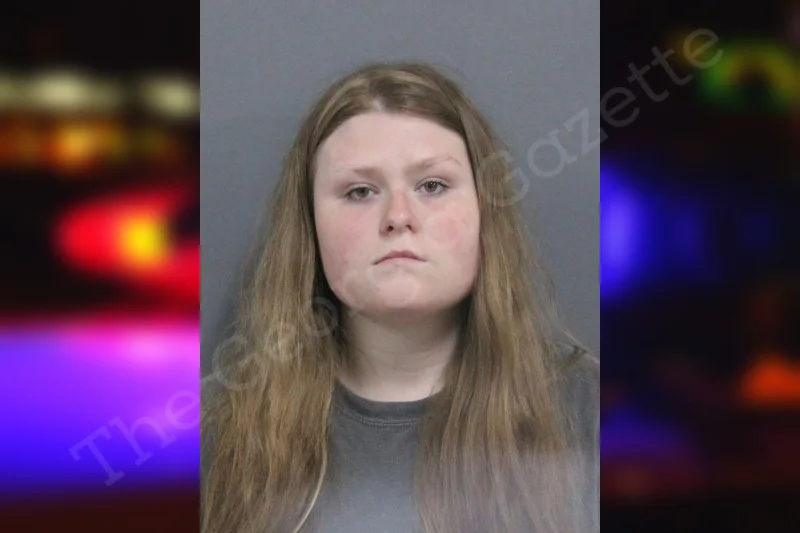 Haley McIntosh | Catoosa County Jail Bookings
