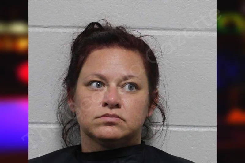 Kristi Medlock — Habersham County Jail Bookings