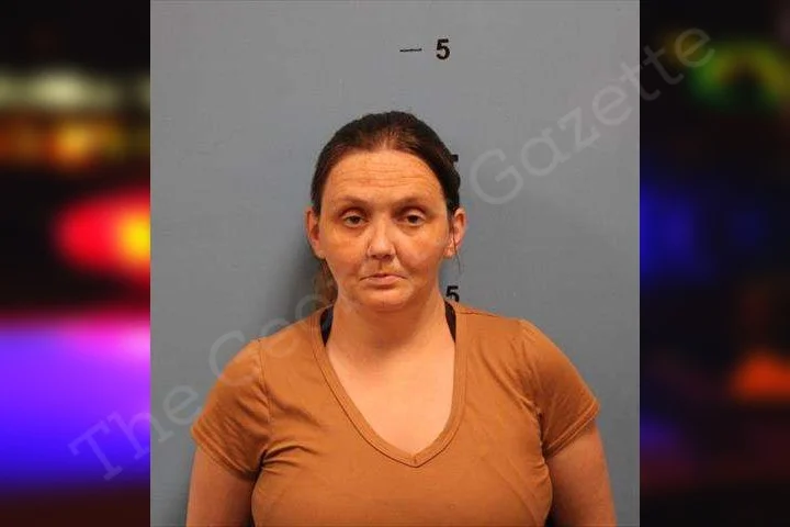 Jennifer Michael — Monroe County Jail Bookings