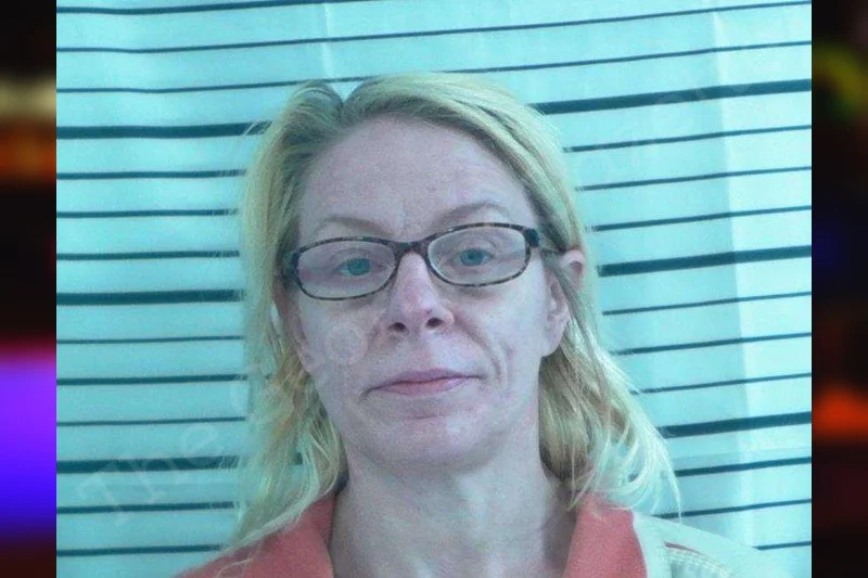 Lyndsy Milo — Stephens County Jail Bookings