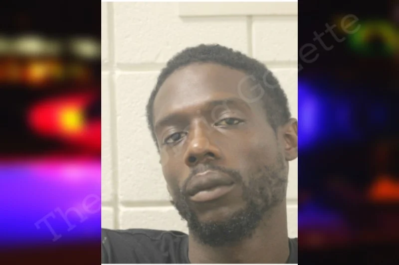 Darien Mincey — Toombs County Jail Bookings