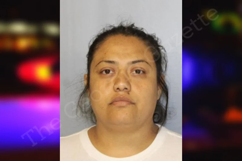 Martha Moreno-Castro — Hall County Jail Bookings