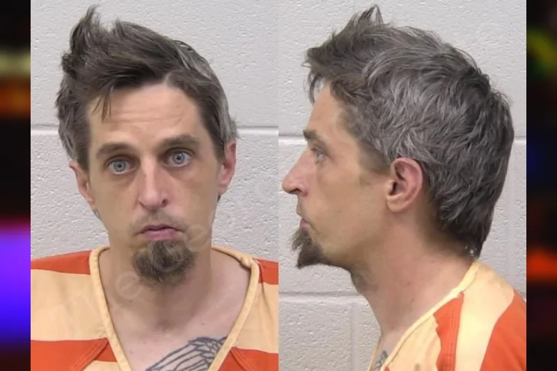 Brian Markham — Paulding County Jail Bookings