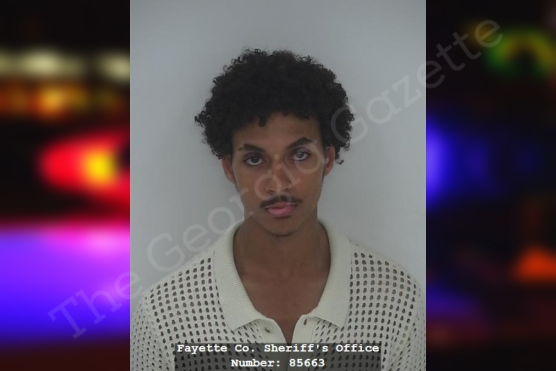 Avery Martin — Fayette County Jail Bookings