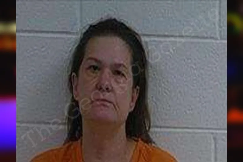 Jodi Mason — Polk County Jail Bookings