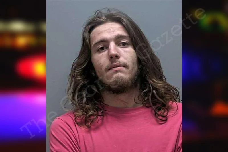 Kaleb Meadows — Charlton County Jail Bookings