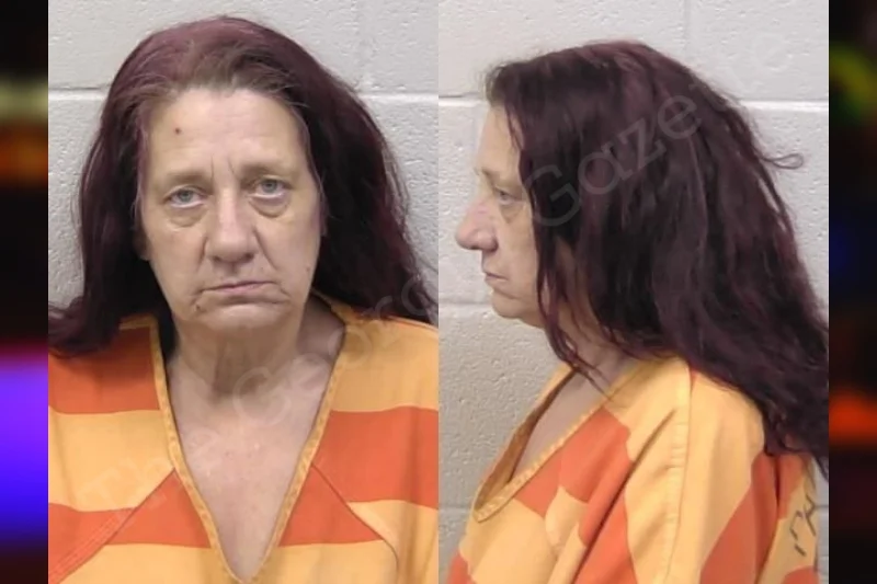 Melissa Merchant — Paulding County Jail Bookings
