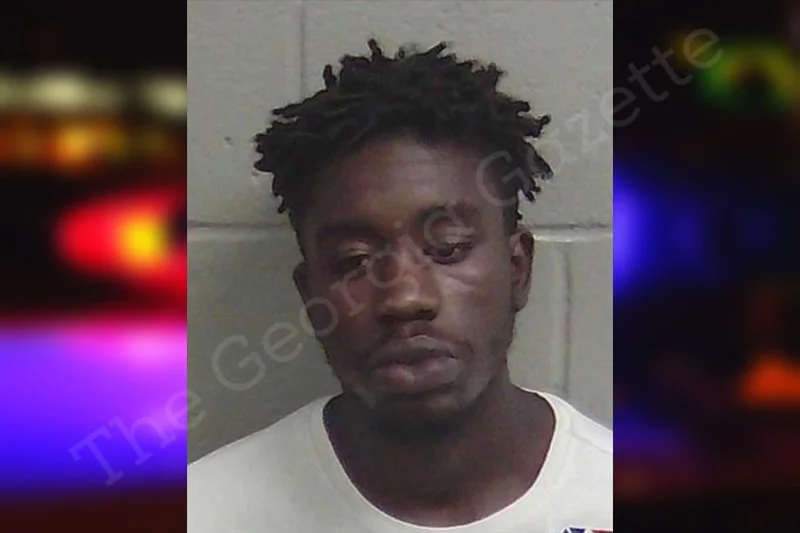 Ricky Merritt — Wayne County Jail Bookings