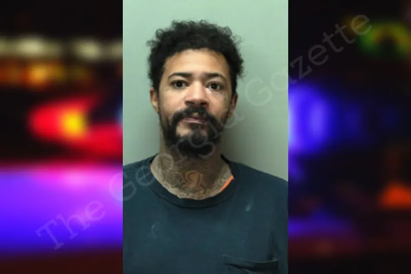 Timothy Mitchell — Towns County Jail Bookings