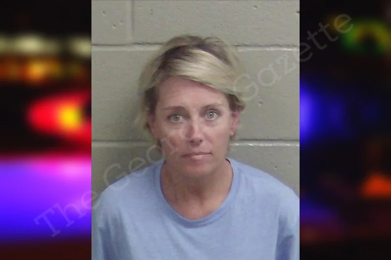 Summer Mullins — Wayne County Jail Bookings