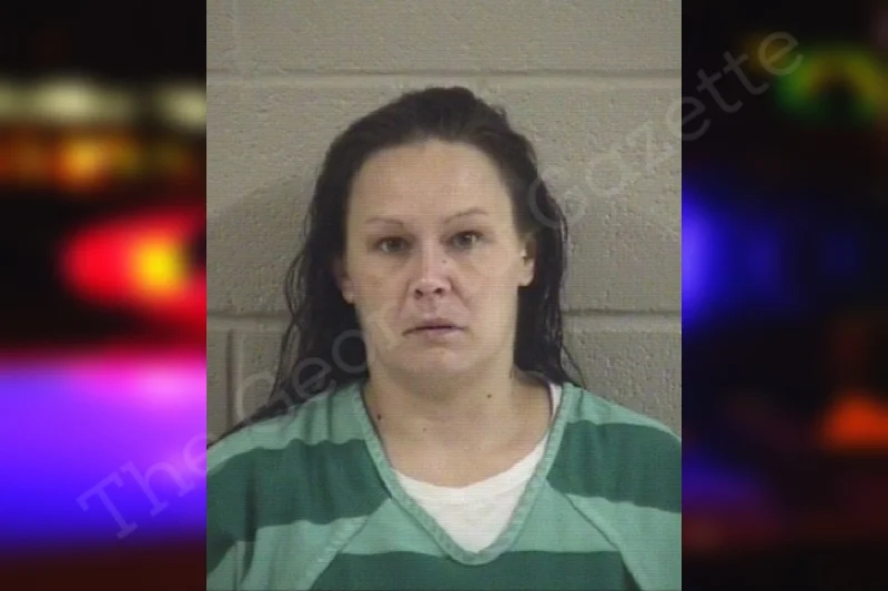 Sheena Newberry — Whitfield County Jail Bookings