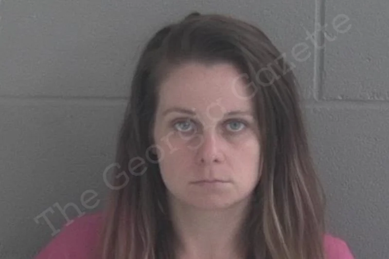 Kaylie Perritt — Brantley County Jail Bookings