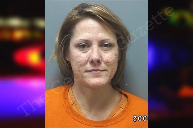 Sarah Poe — Cherokee County Jail Bookings
