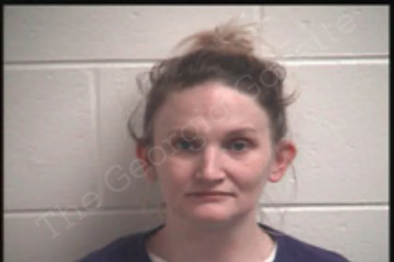 Brittany Patton — Henry County Jail Bookings