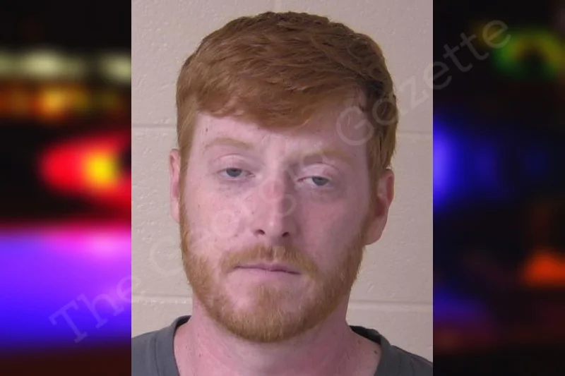 Luke Payne — Walker County Jail Bookings