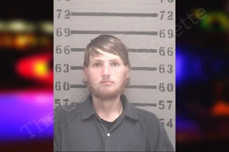 Bryan Phillips — Dougherty County Jail Bookings