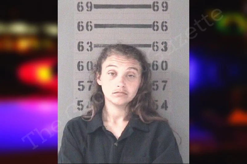 Lucy Phillips — Dougherty County Jail Bookings