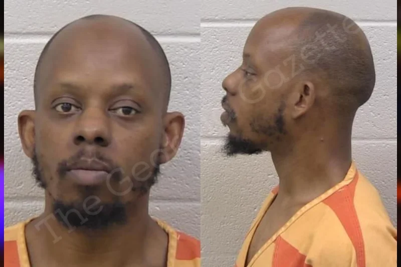 Alphonse Picou — Paulding County Jail Bookings