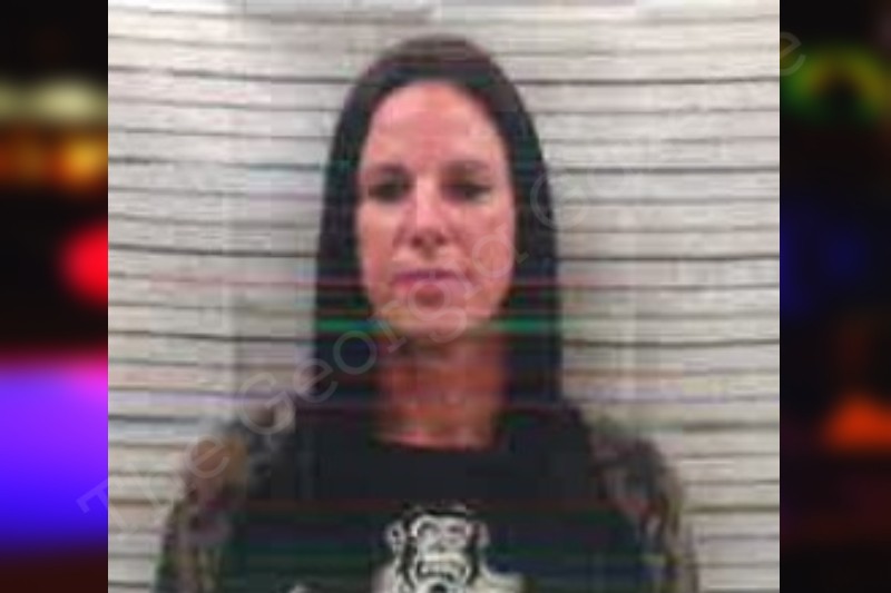 Brooke Pierce — Pickens County Jail Bookings