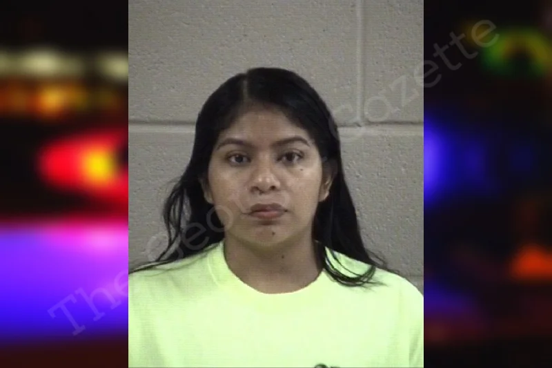 Heidy Ramos — Whitfield County Jail Bookings