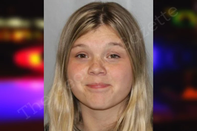 Lillian Satterfield — Hall County Jail Bookings