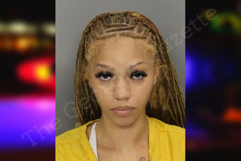 Jordan Singer — Cobb County Jail Bookings