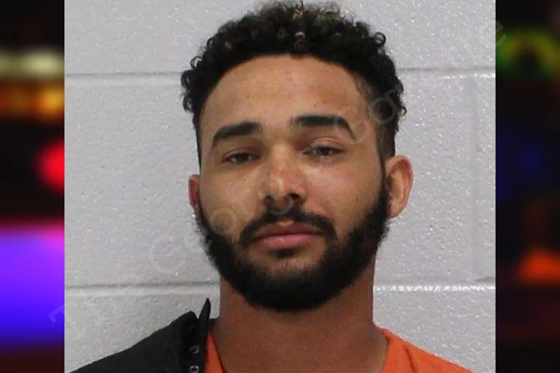 Taylor Swint — Carroll County Jail Bookings