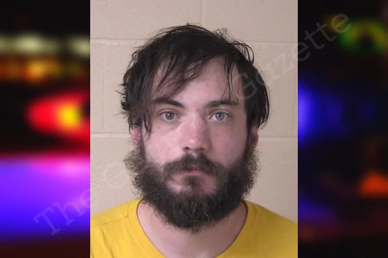 Lucas Scott — Walker County Jail Bookings