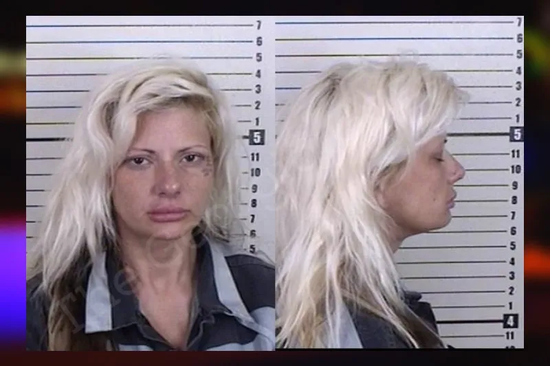 Chasity Sheppard — Camden County Jail Bookings