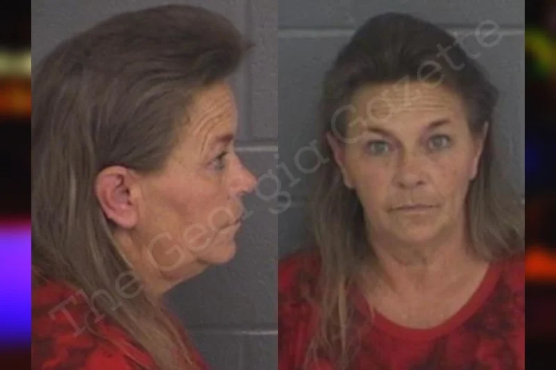 Sandra Sims — Barrow County Jail Bookings