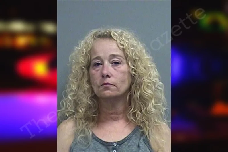 Angela Stout — Effingham County Jail Bookings