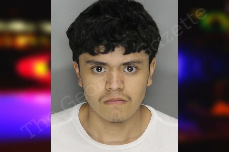 Alexis Tello — Cobb County Jail Bookings