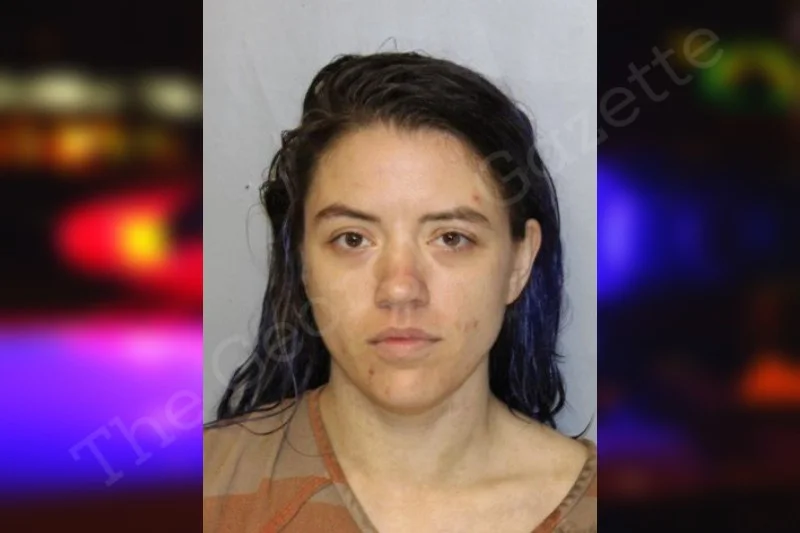 Constance Thompson — Hall County Jail Bookings