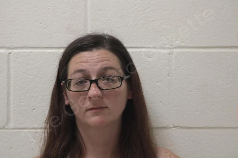 Heather Truelove — Jones County Jail Bookings