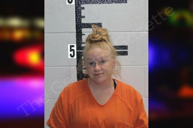 Robin Tyler — Murray County Jail Bookings