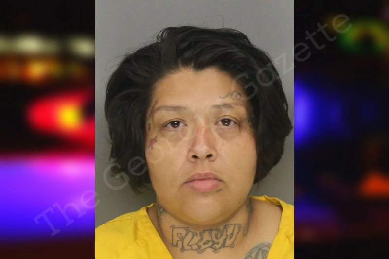 Victoria Velasco — Cobb County Jail Bookings