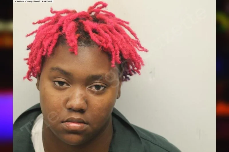 Vinesha White — Chatham County Jail Bookings