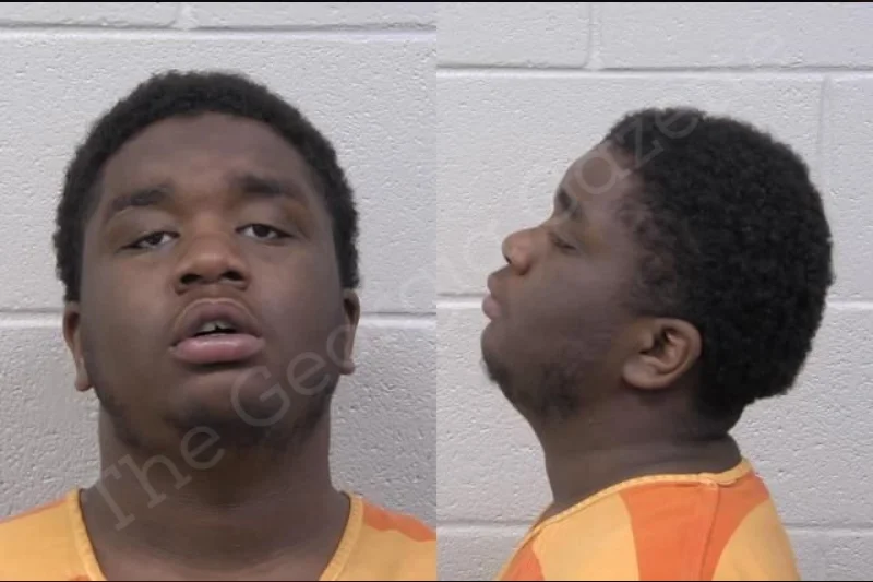 Mikah Wilson — Paulding County Jail Bookings