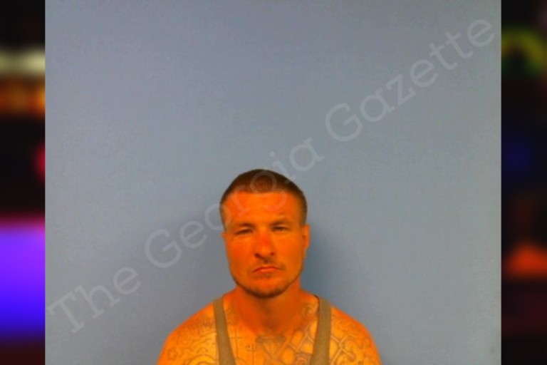 Michael Wooten — Troup County Jail Bookings