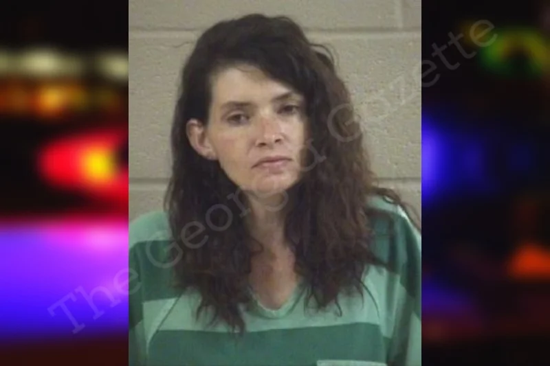 Vanessa Young — Whitfield County Jail Bookings