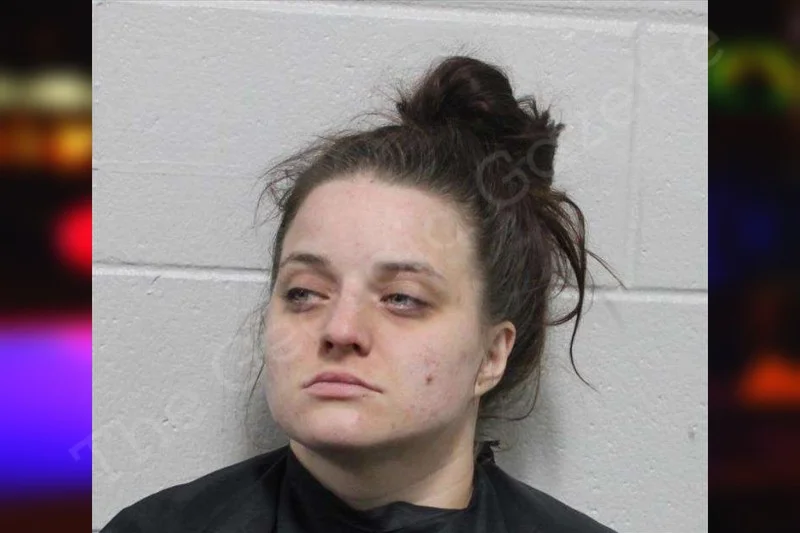 Timberly Addison — Habersham County Jail Bookings