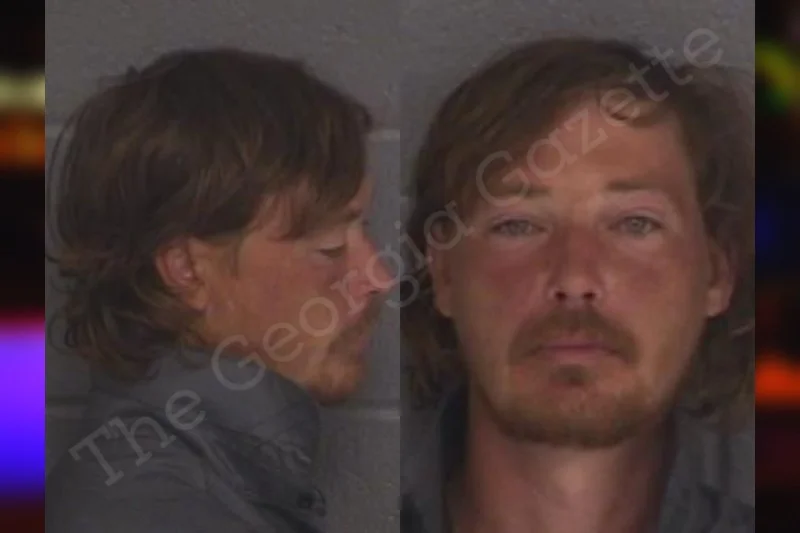 Lester Archer — Barrow County Jail Bookings