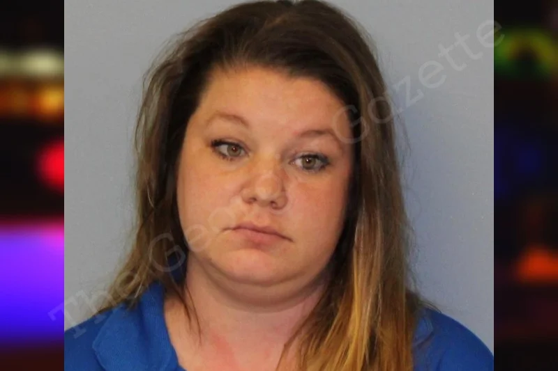 Alexis Bailey — McIntosh County Jail Bookings