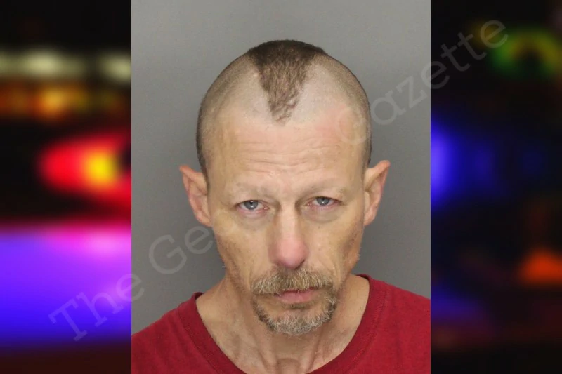 Neilson Blaine | Cobb County Jail Bookings