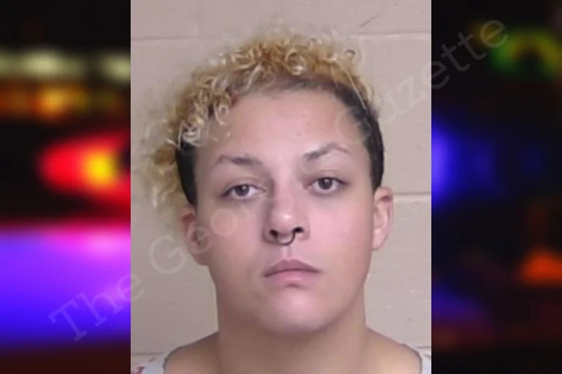 Virginia Bean — Walker County Jail Bookings