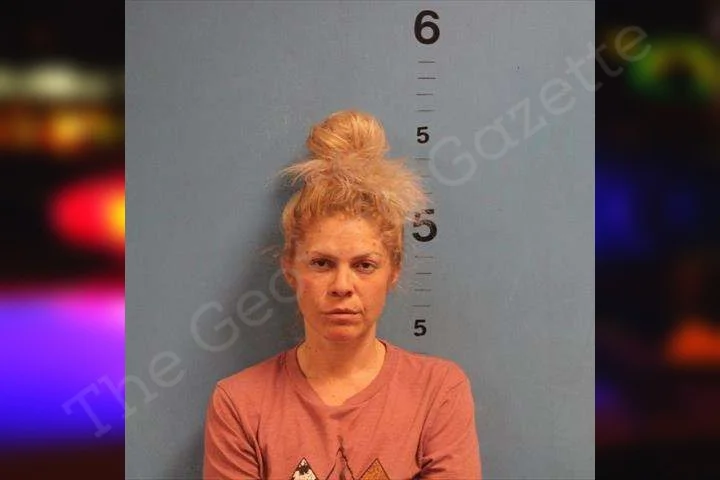 Kayla Collins — Monroe County Jail Bookings