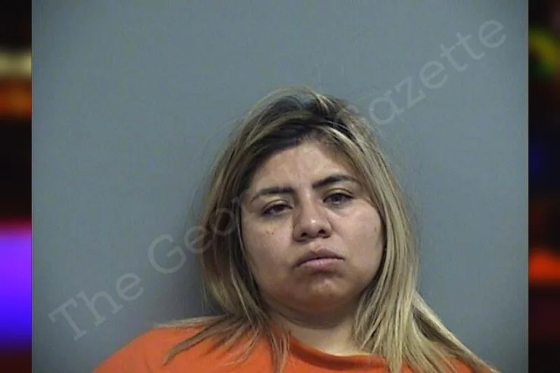 Isamar Castillo — Effingham County Jail Bookings