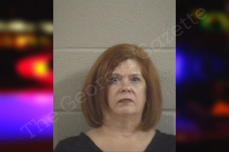 Heather Cook — Whitfield County Jail Bookings